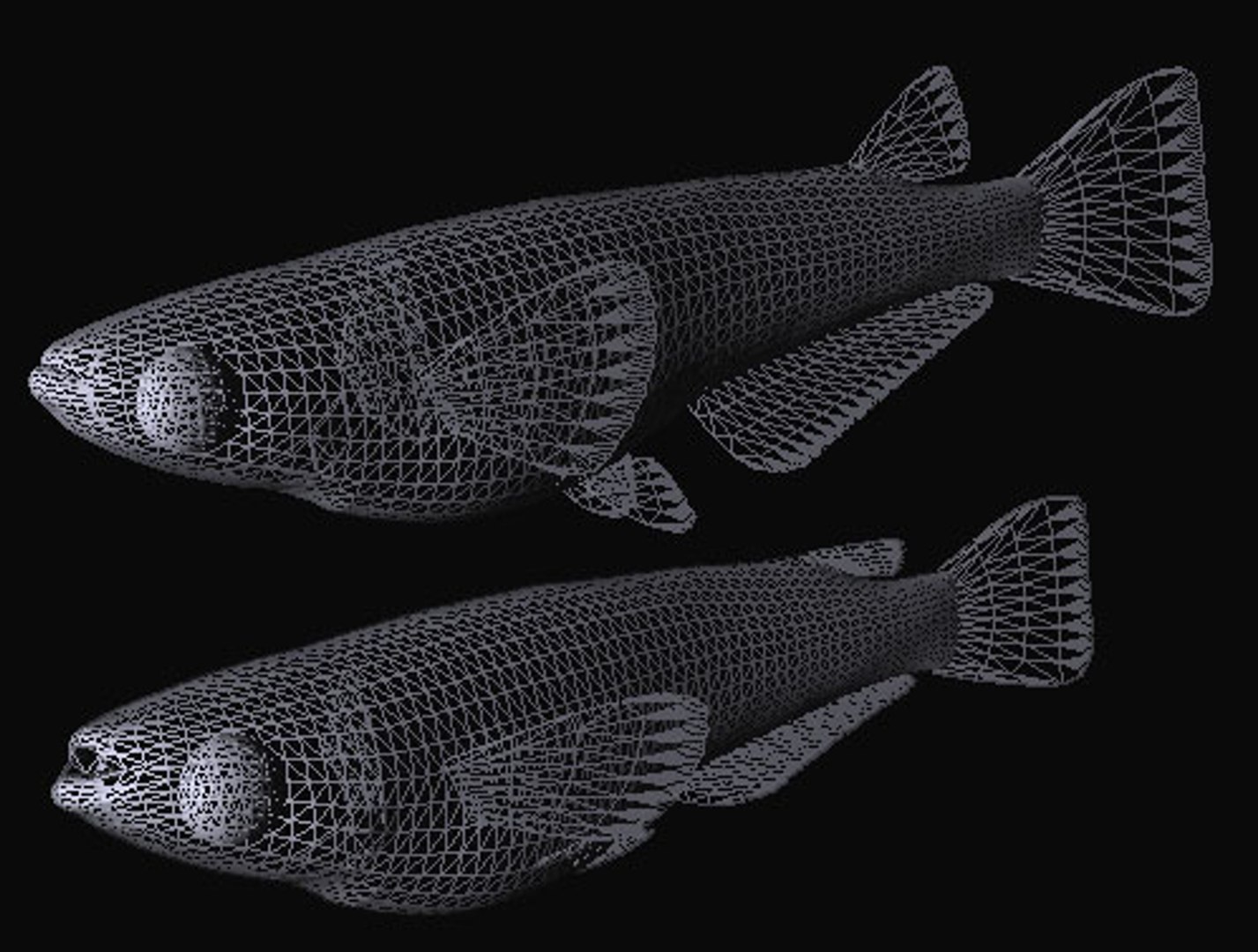 Japanese Rice Fish Swimming 3ds