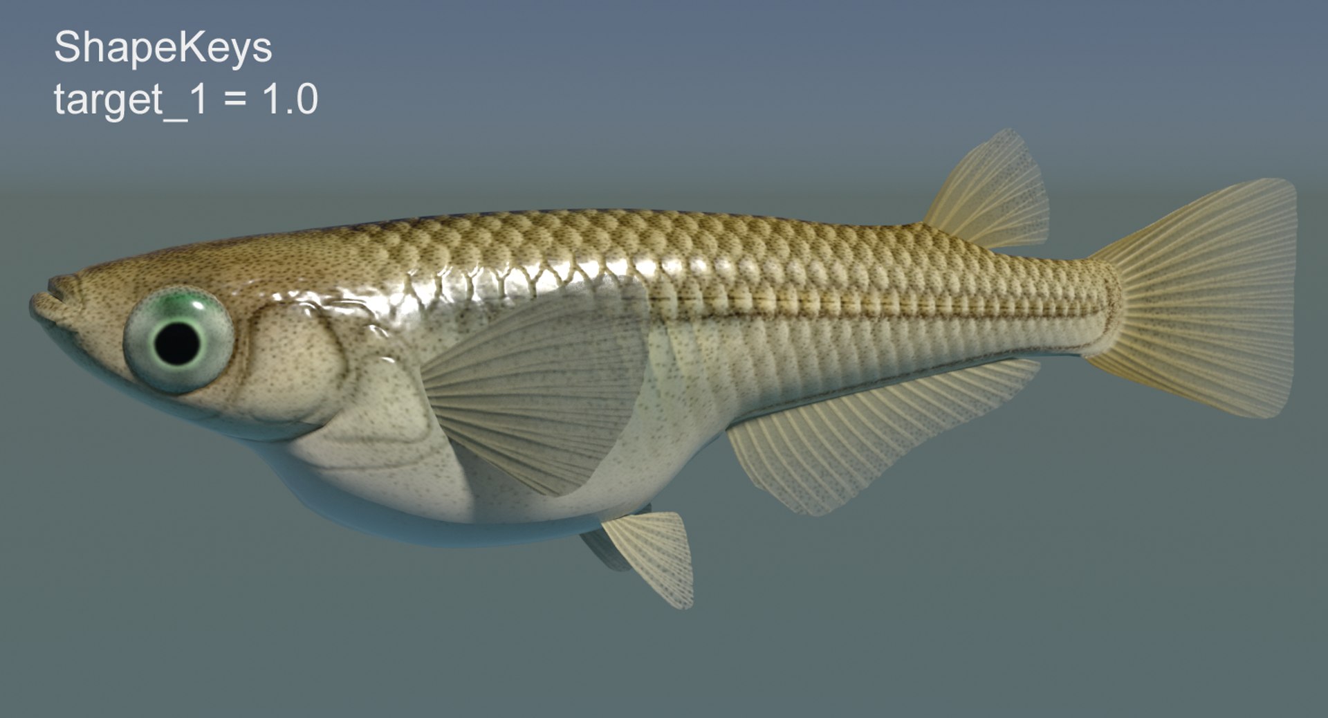 Japanese Rice Fish Swimming 3ds