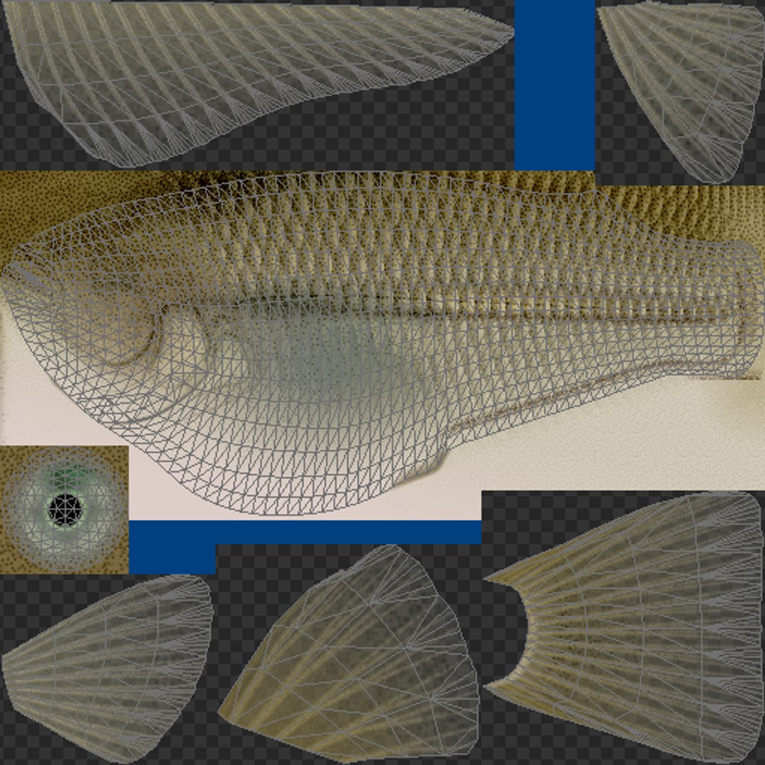 Japanese Rice Fish Swimming 3ds