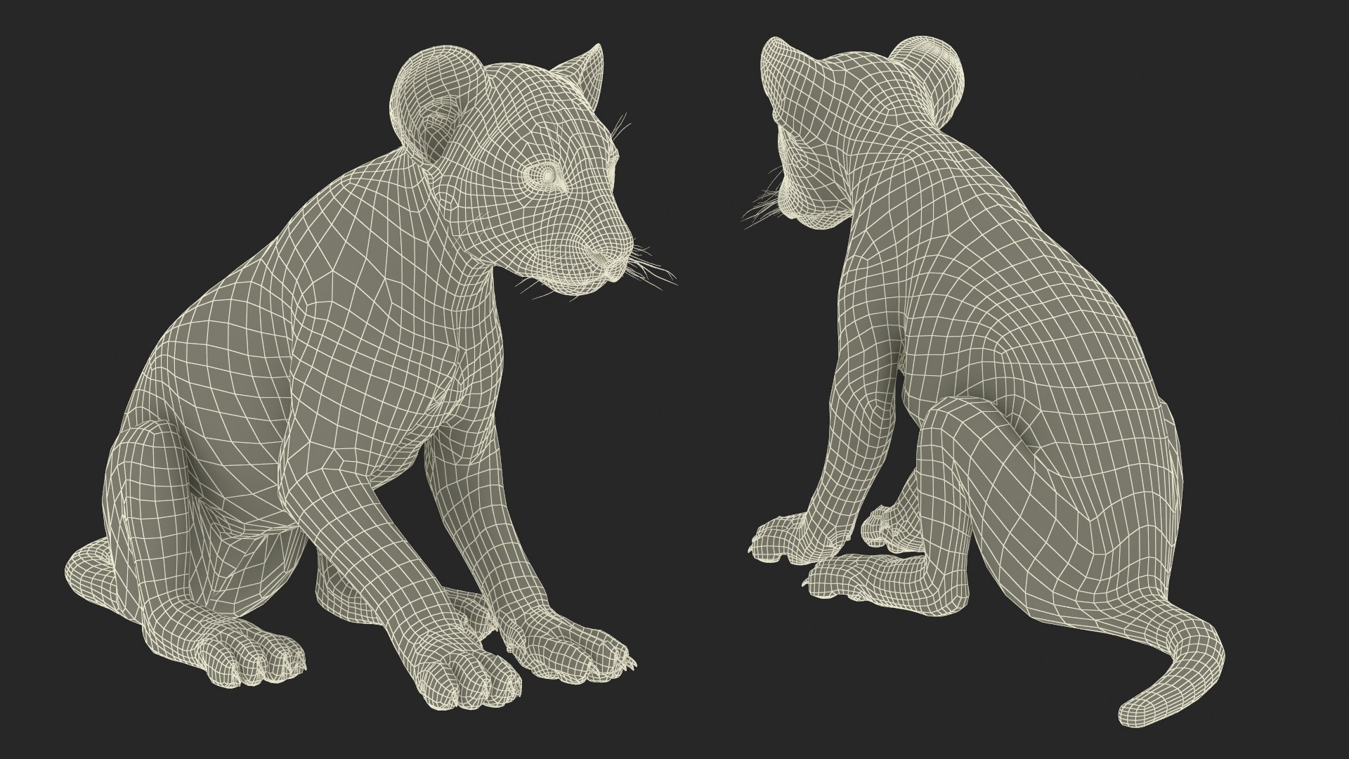 3D Lion Cub Sitting Model - TurboSquid 2335584