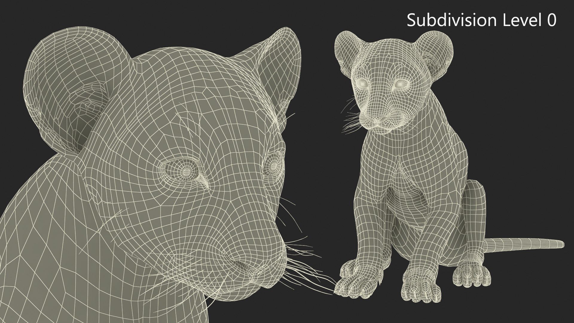 3D Lion Cub Sitting Model - TurboSquid 2335584
