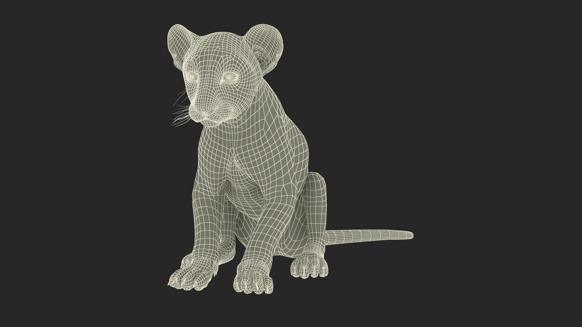 3D Lion Cub Sitting Model - TurboSquid 2335584