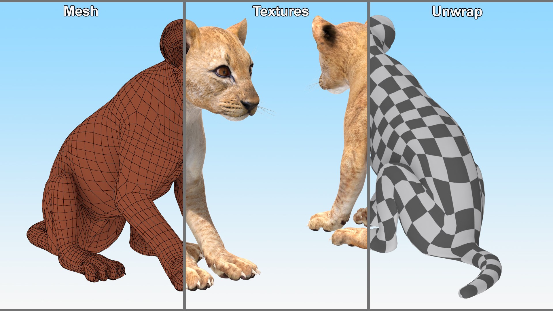 3D Lion Cub Sitting Model - TurboSquid 2335584