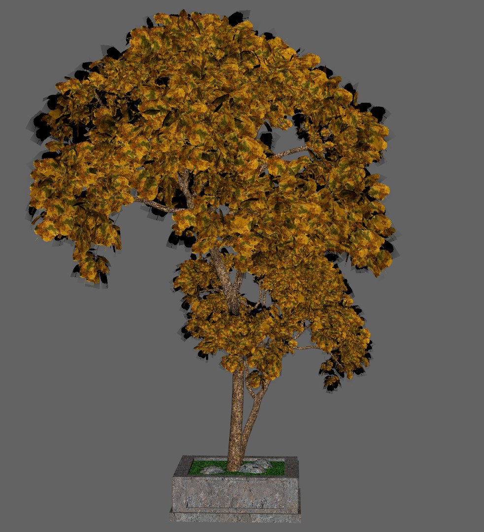 3D Tree Autumn - TurboSquid 1410090
