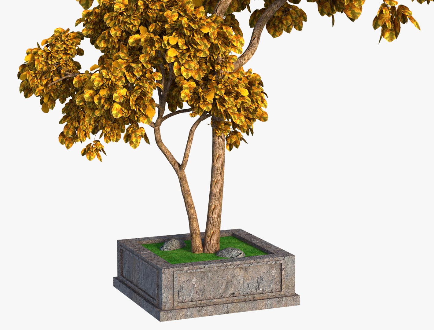 3D Tree Autumn - TurboSquid 1410090