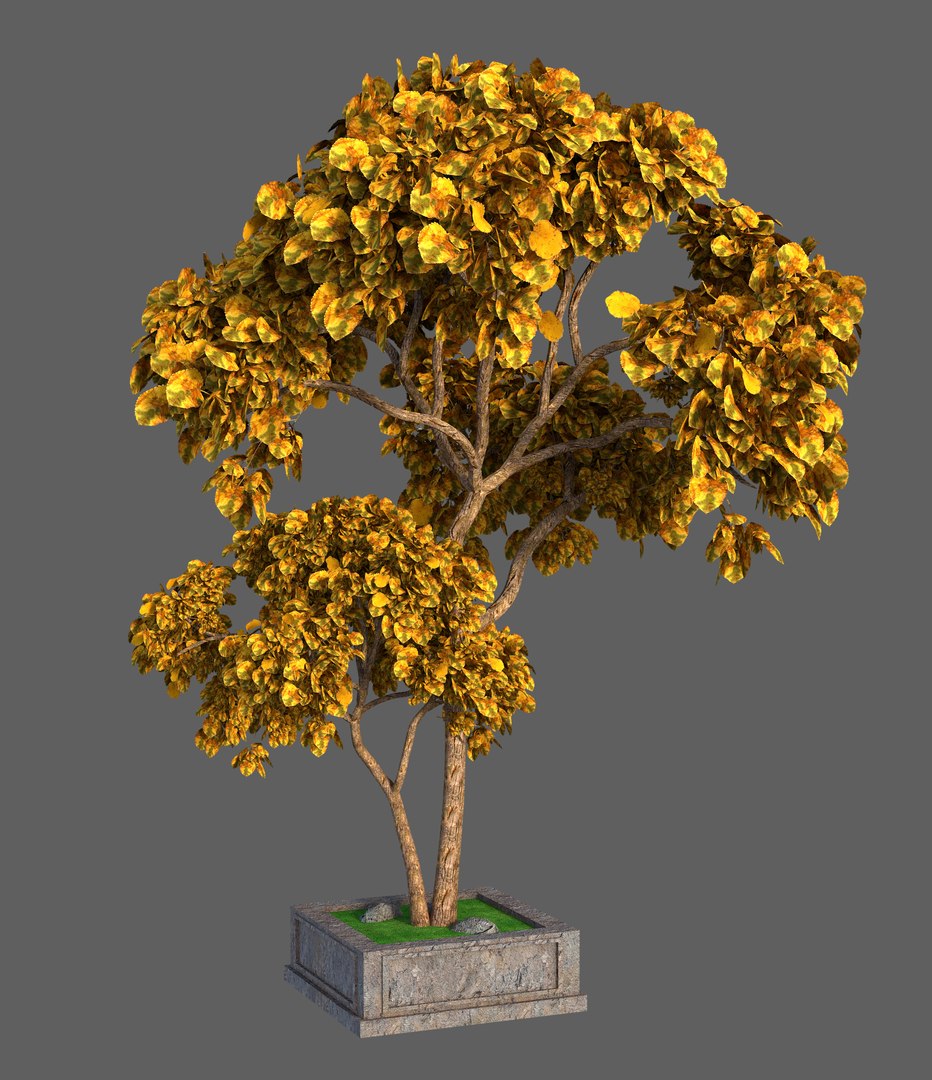 3D Tree Autumn - TurboSquid 1410090
