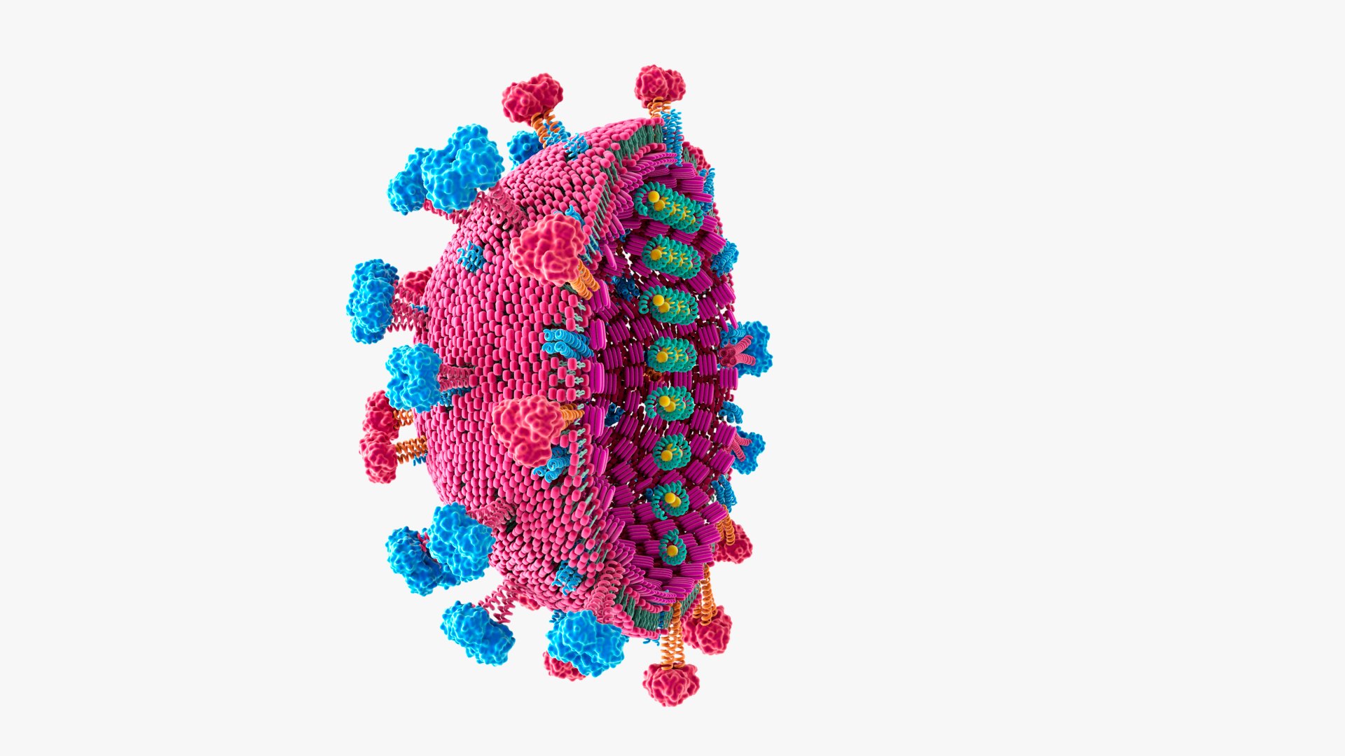 Flu Influenza Virus 3D Model - TurboSquid 2249408