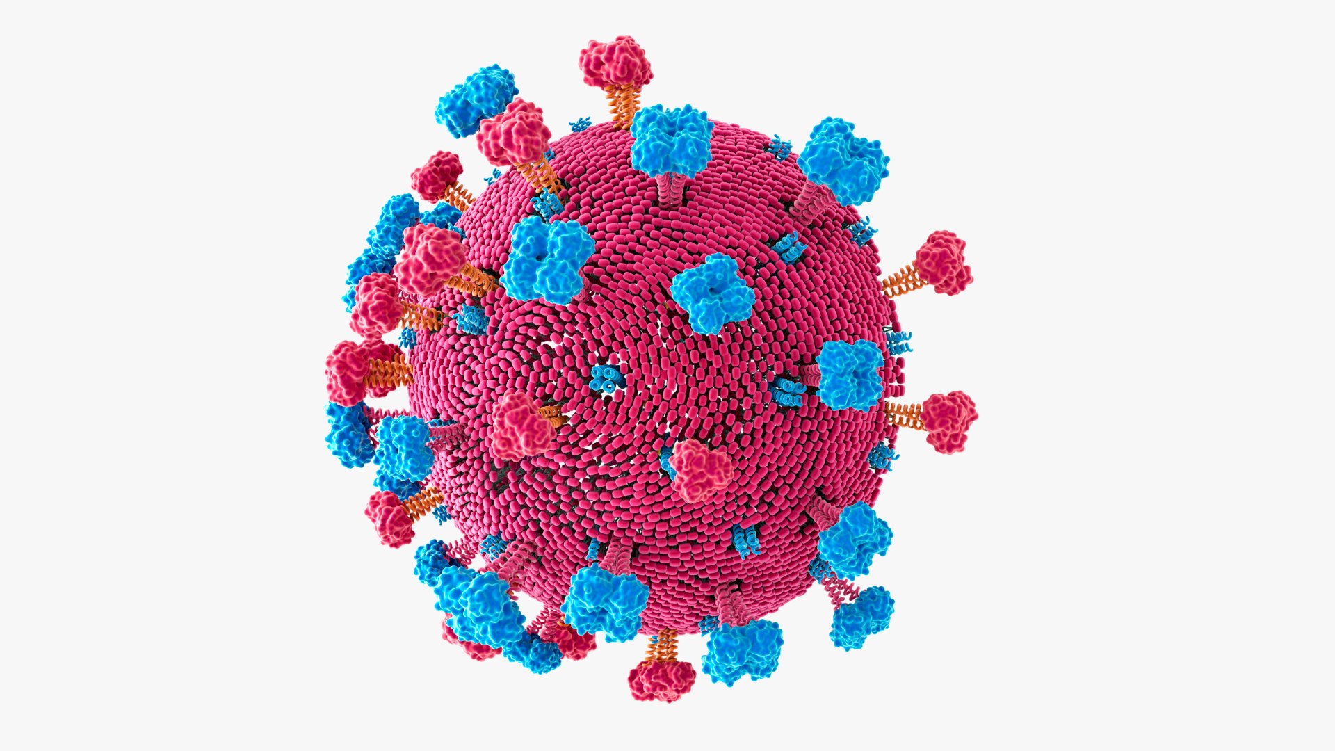 Flu Influenza Virus 3D Model - TurboSquid 2249408