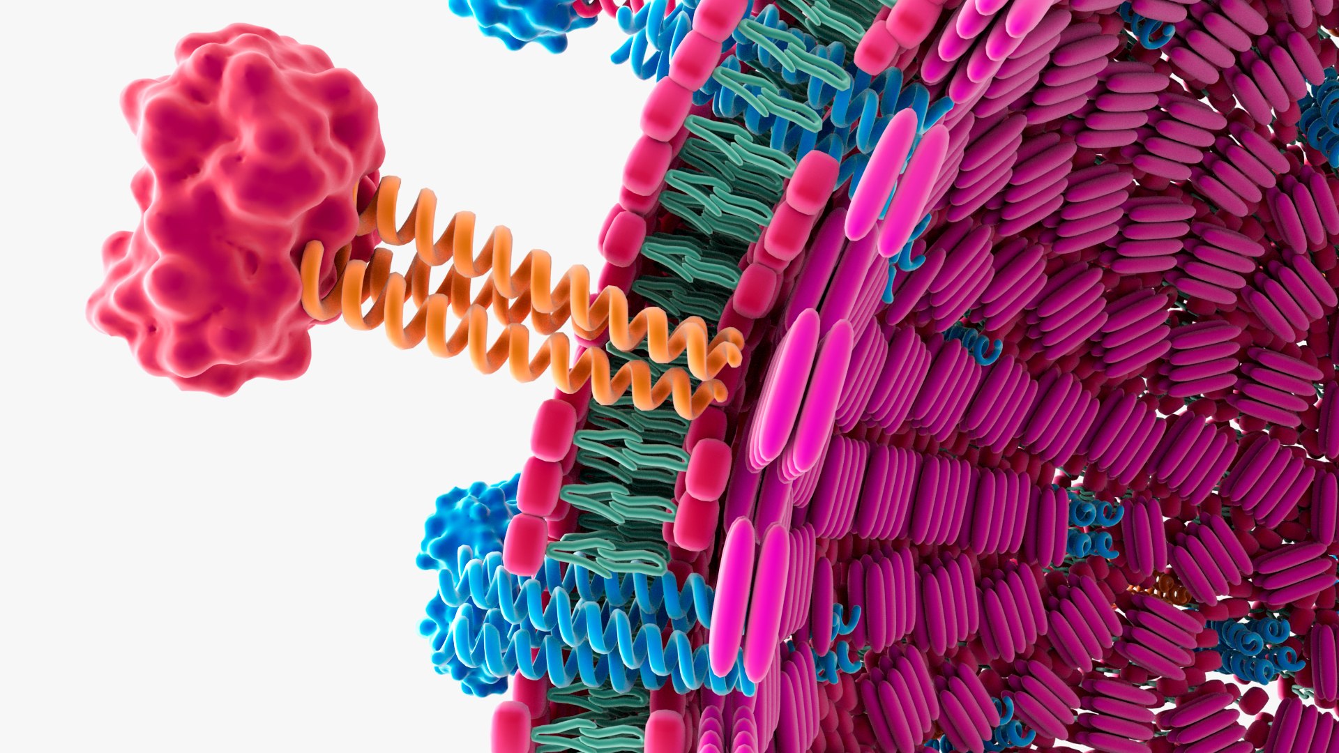 Flu Influenza Virus 3D Model - TurboSquid 2249408
