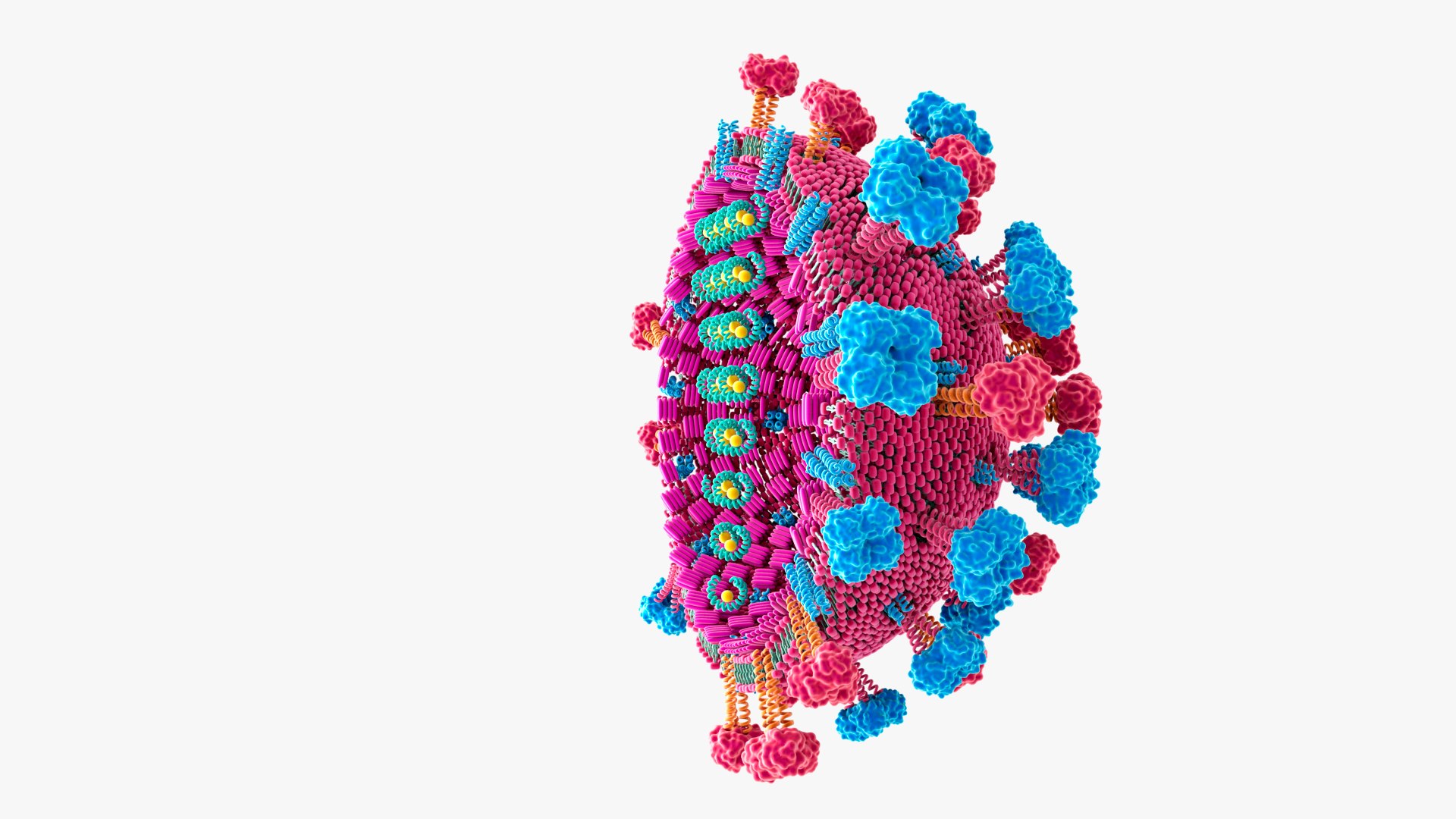 Flu Influenza Virus 3D Model - TurboSquid 2249408