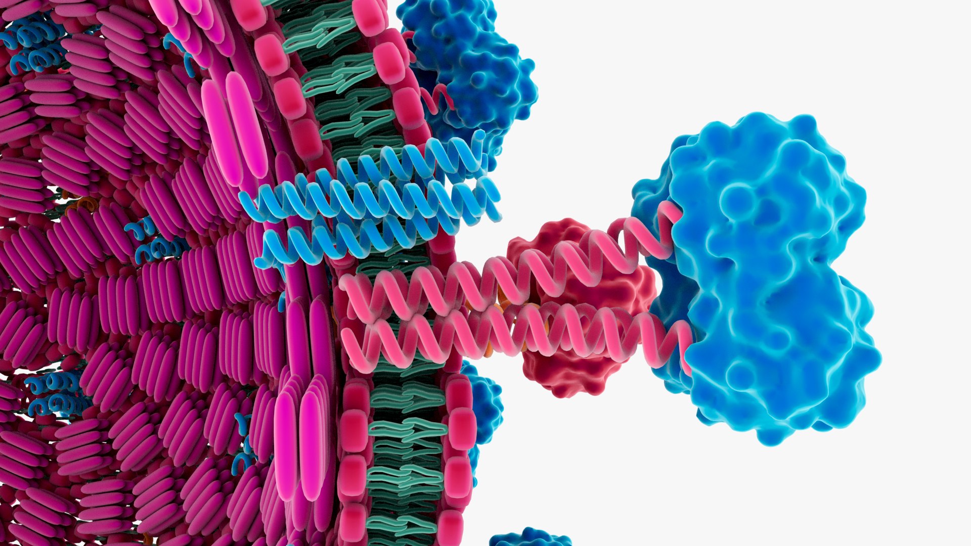 Flu Influenza Virus 3D Model - TurboSquid 2249408