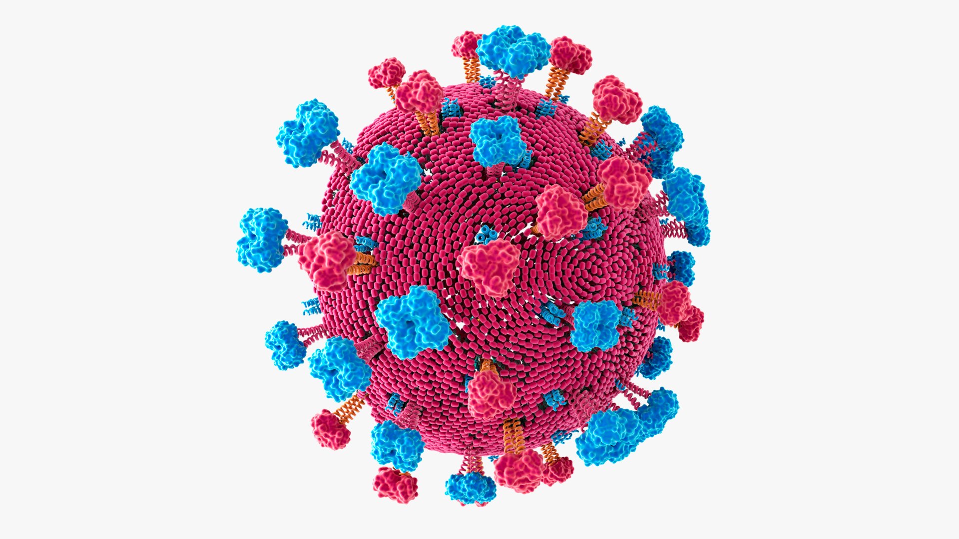 Flu Influenza Virus 3D Model - TurboSquid 2249408