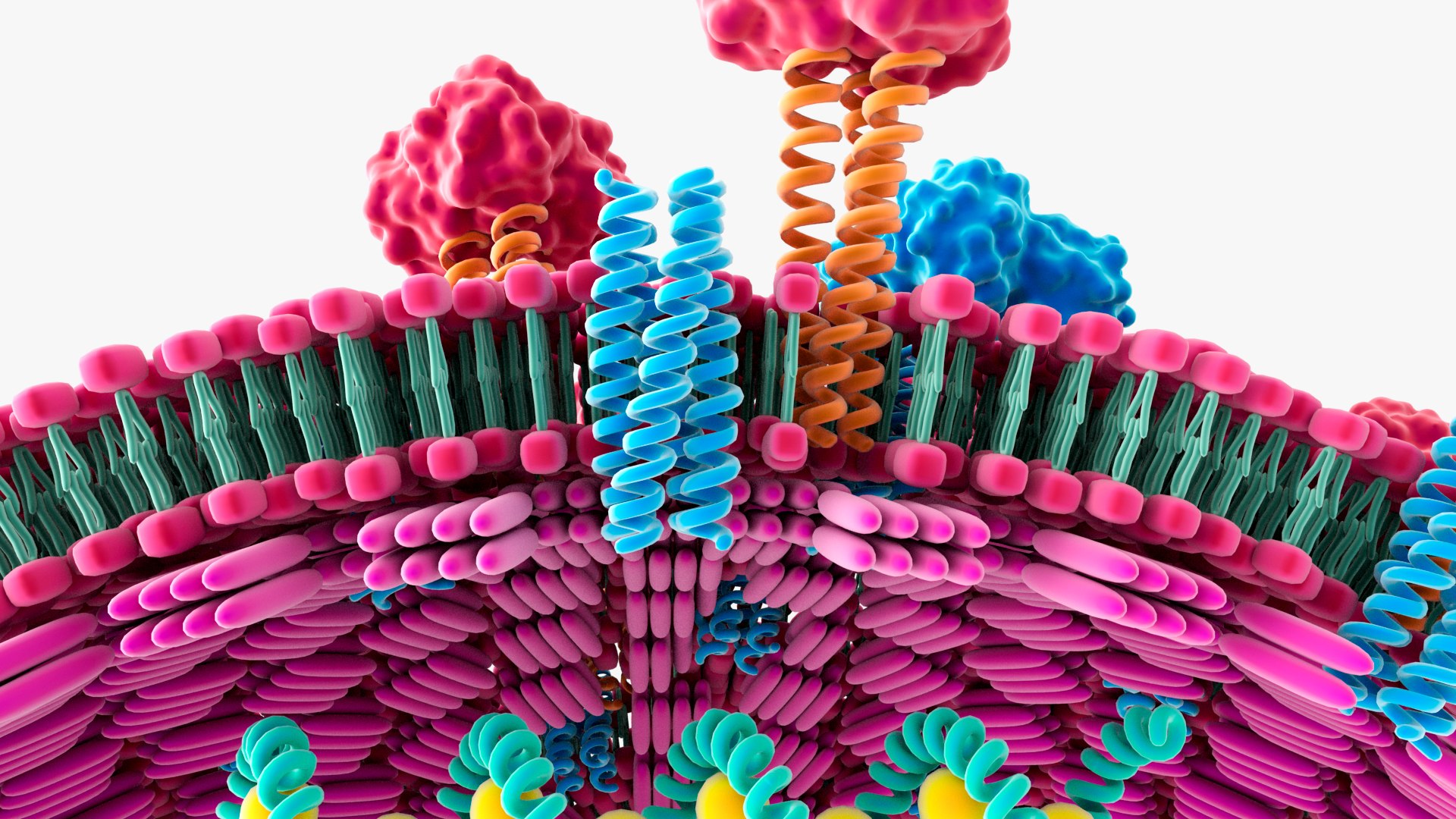 Flu Influenza Virus 3D Model - TurboSquid 2249408