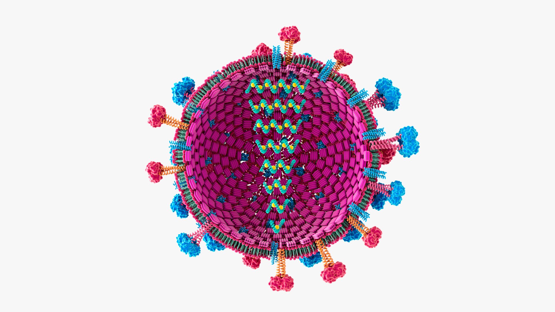 Flu Influenza Virus 3D Model - TurboSquid 2249408