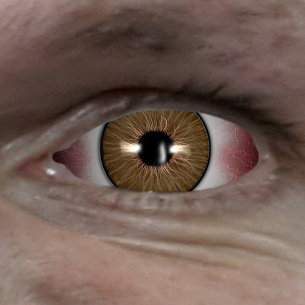3d model eye ball