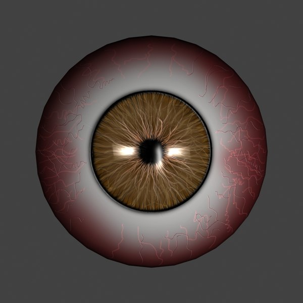 3d model eye ball