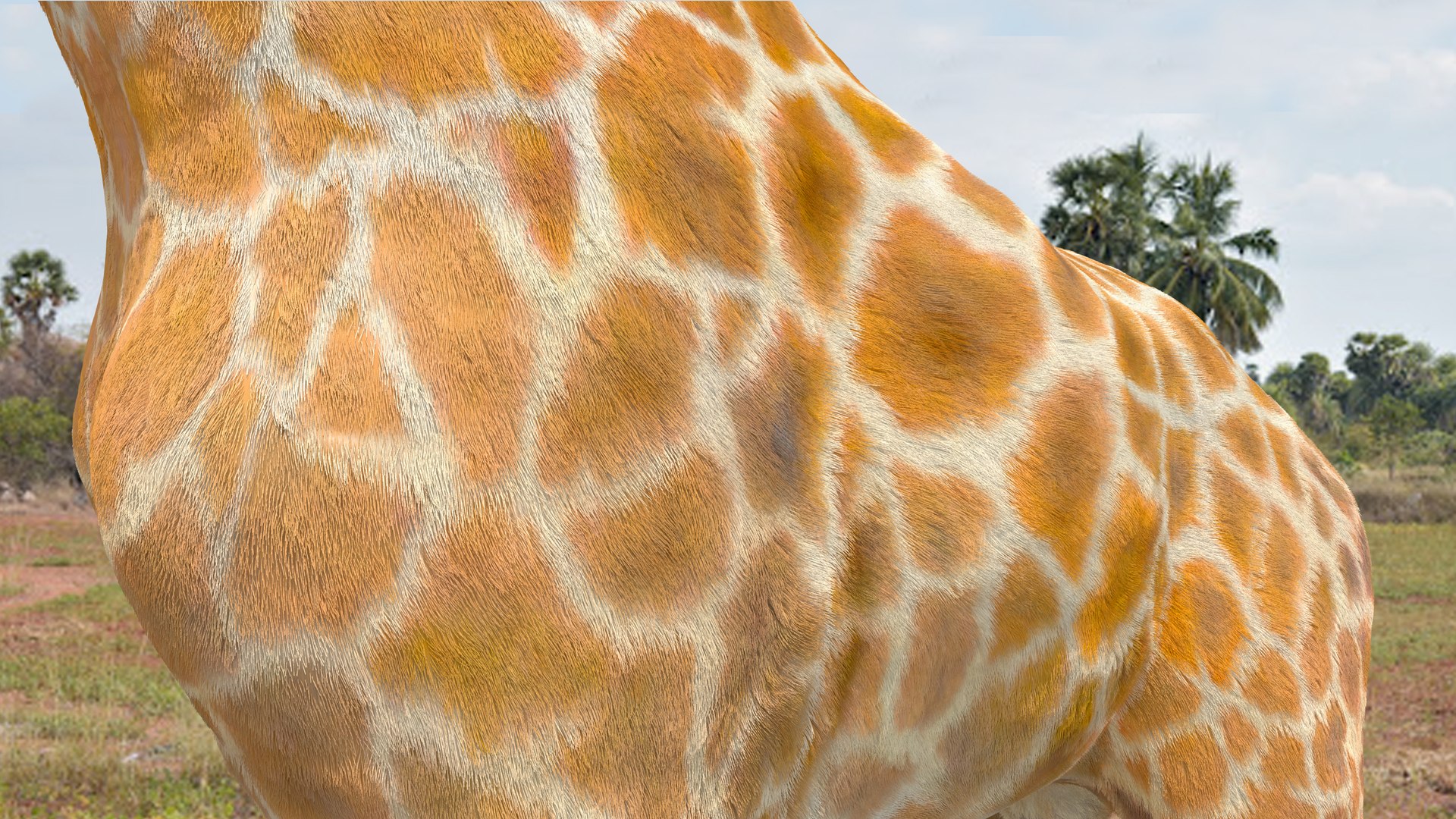 Realistic Giraffe With Fur Rigged And Animated With Xgen Fur 3D ...
