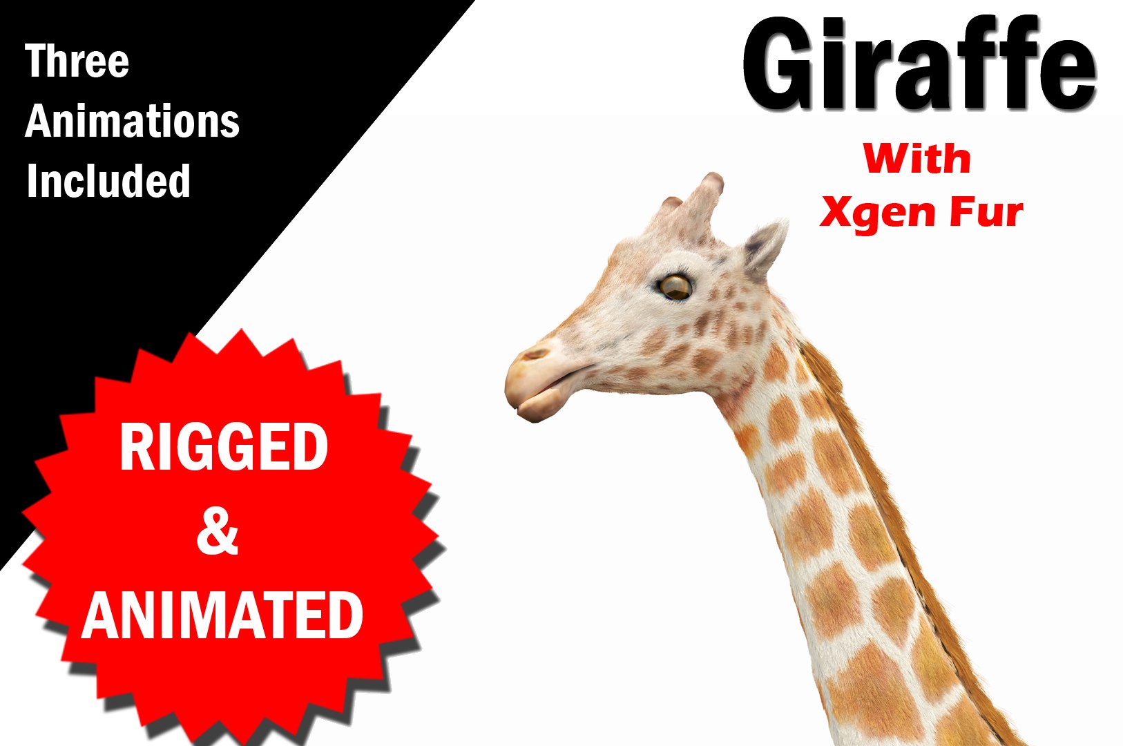 Realistic Giraffe With Fur Rigged And Animated With Xgen Fur 3D ...