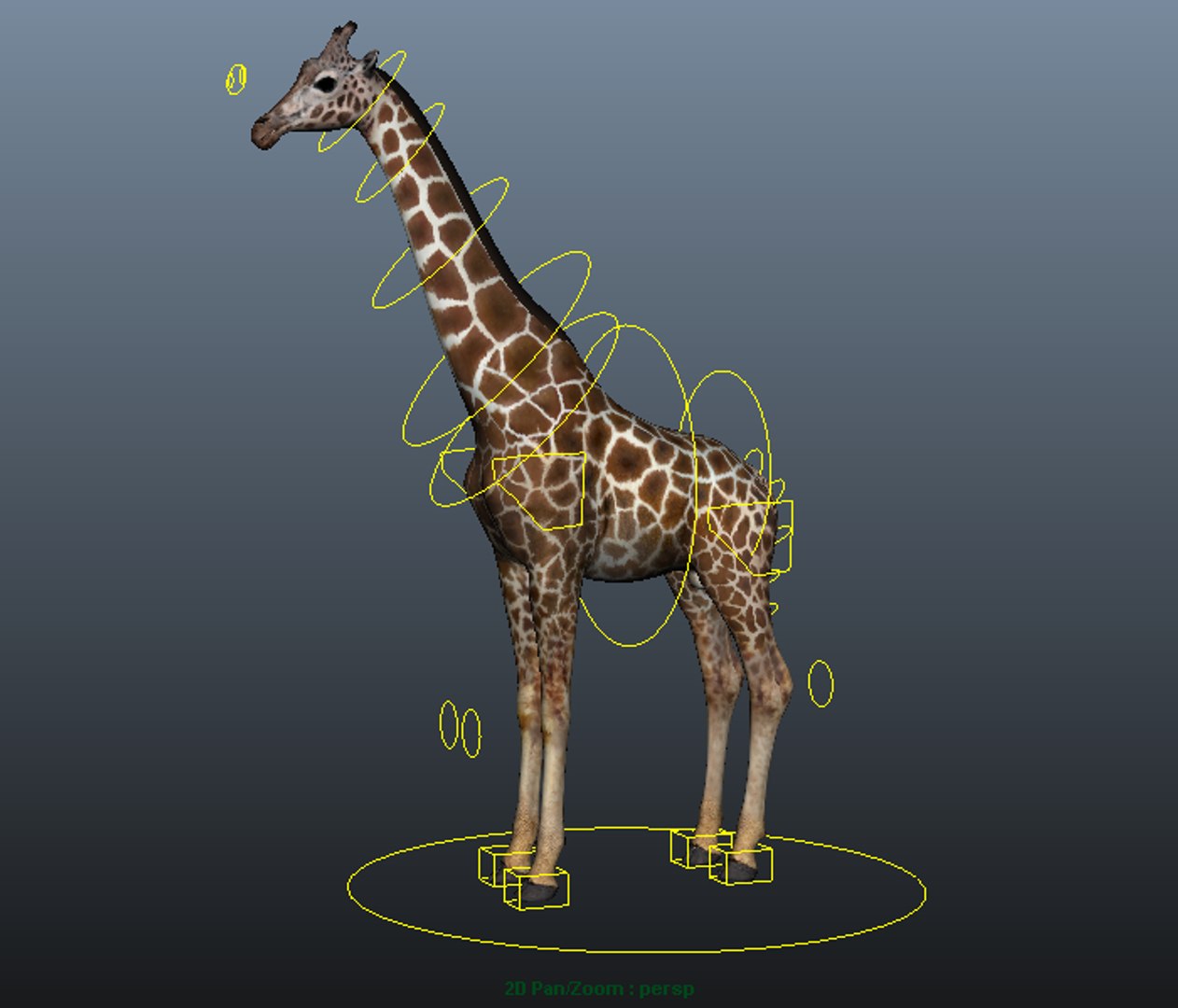 Realistic Giraffe With Fur Rigged And Animated With Xgen Fur 3D ...