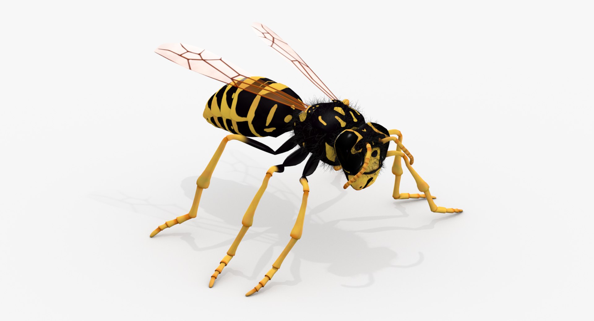realistic wasp - 3d model