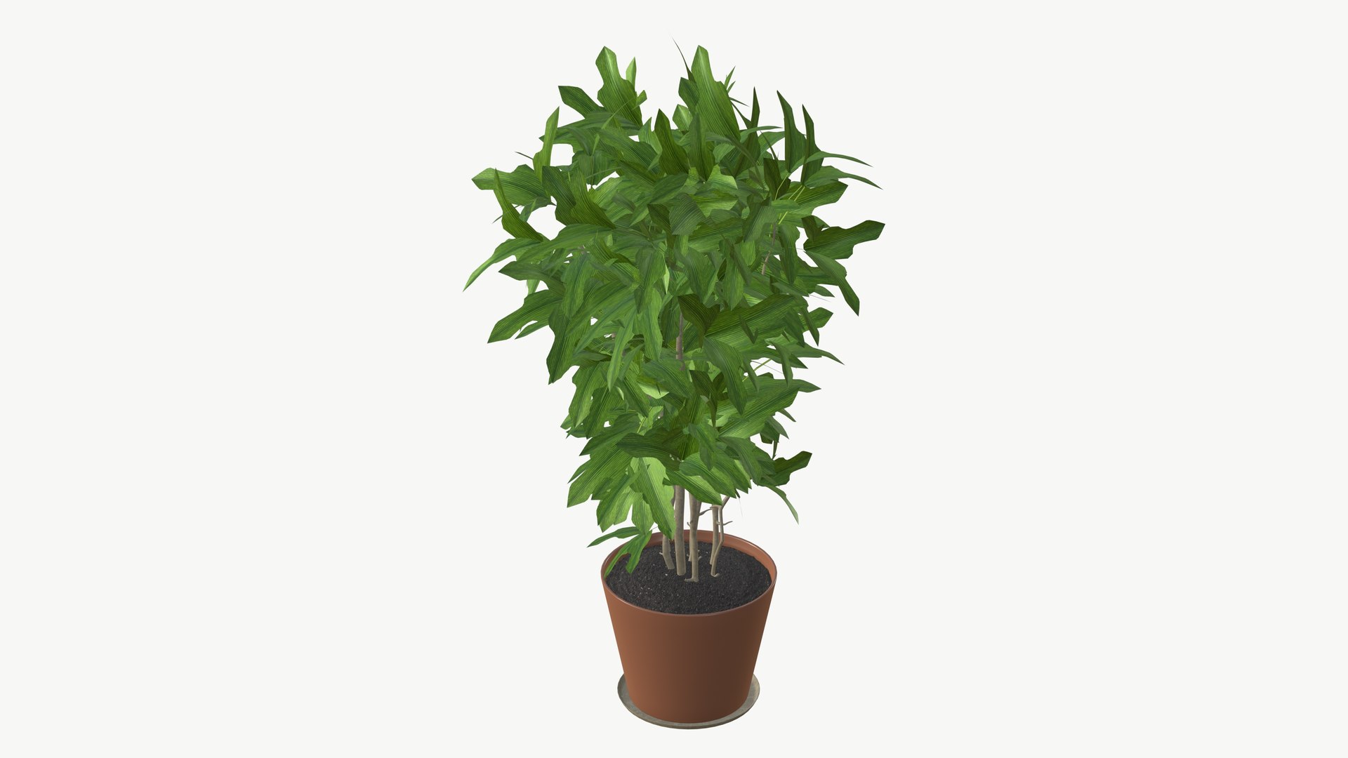 3D Model Realistic Plant - TurboSquid 2173703