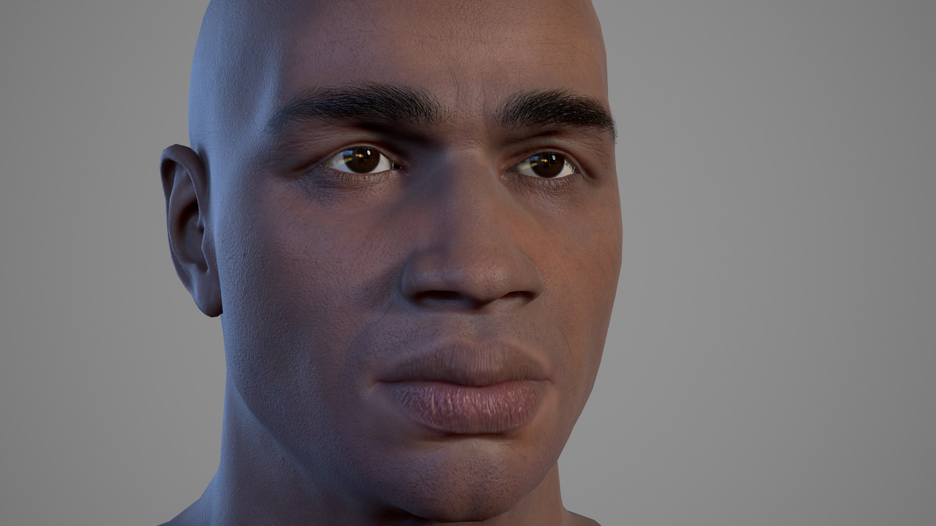 3D Model Male Head And Two Arms - 2 - TurboSquid 1895181