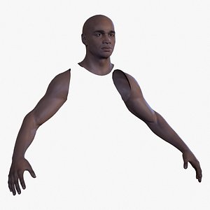 3D Realistic Male Head and Two Arms model - TurboSquid 1895240