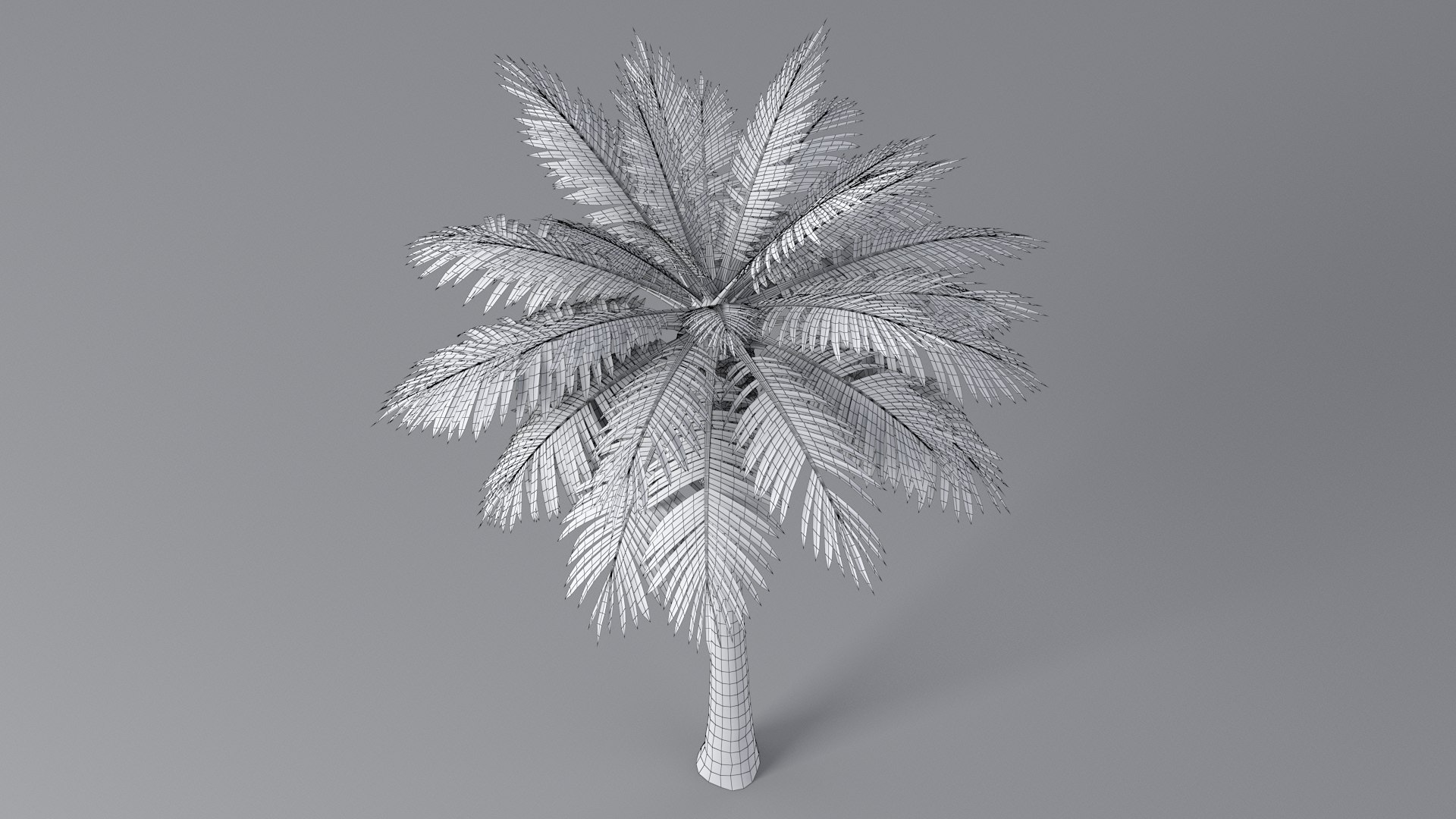 Cartoon Palm Tree 02 3D Model - TurboSquid 1941524