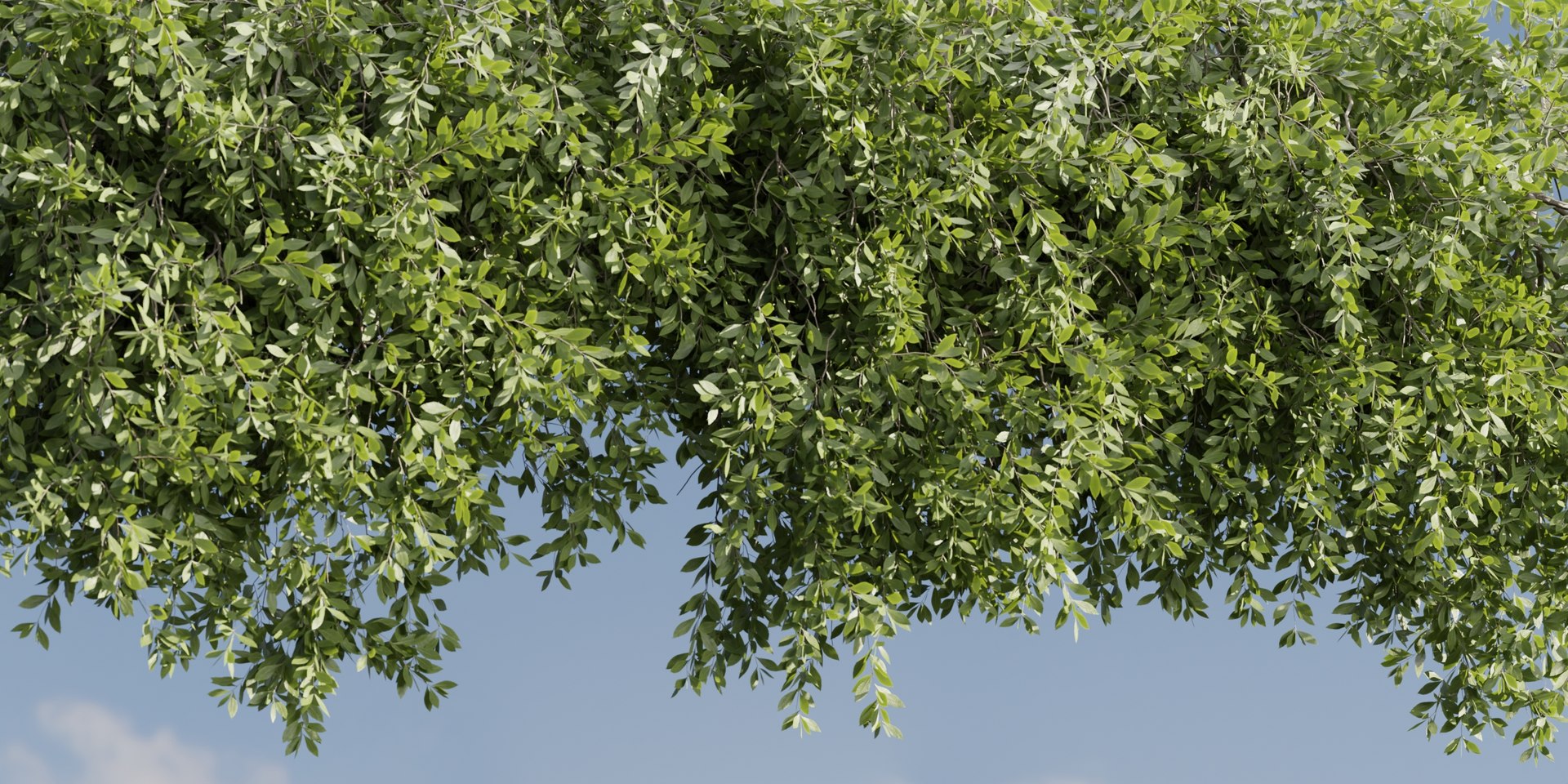 3D Hanging Wall Creeper Plants Collection Vol 230-Blender-3dmodel Model ...