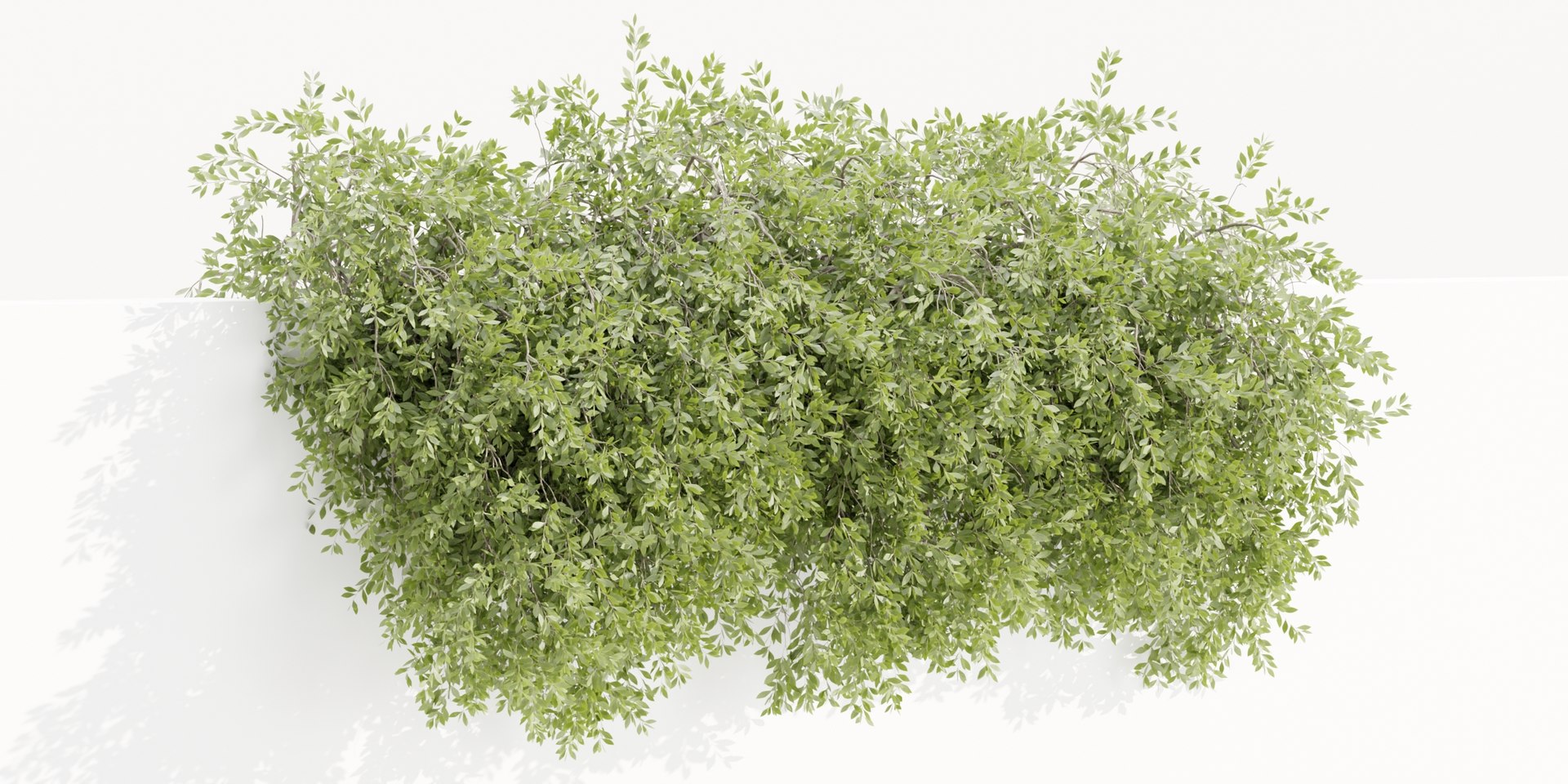 3D Hanging Wall Creeper Plants Collection Vol 230-Blender-3dmodel Model ...