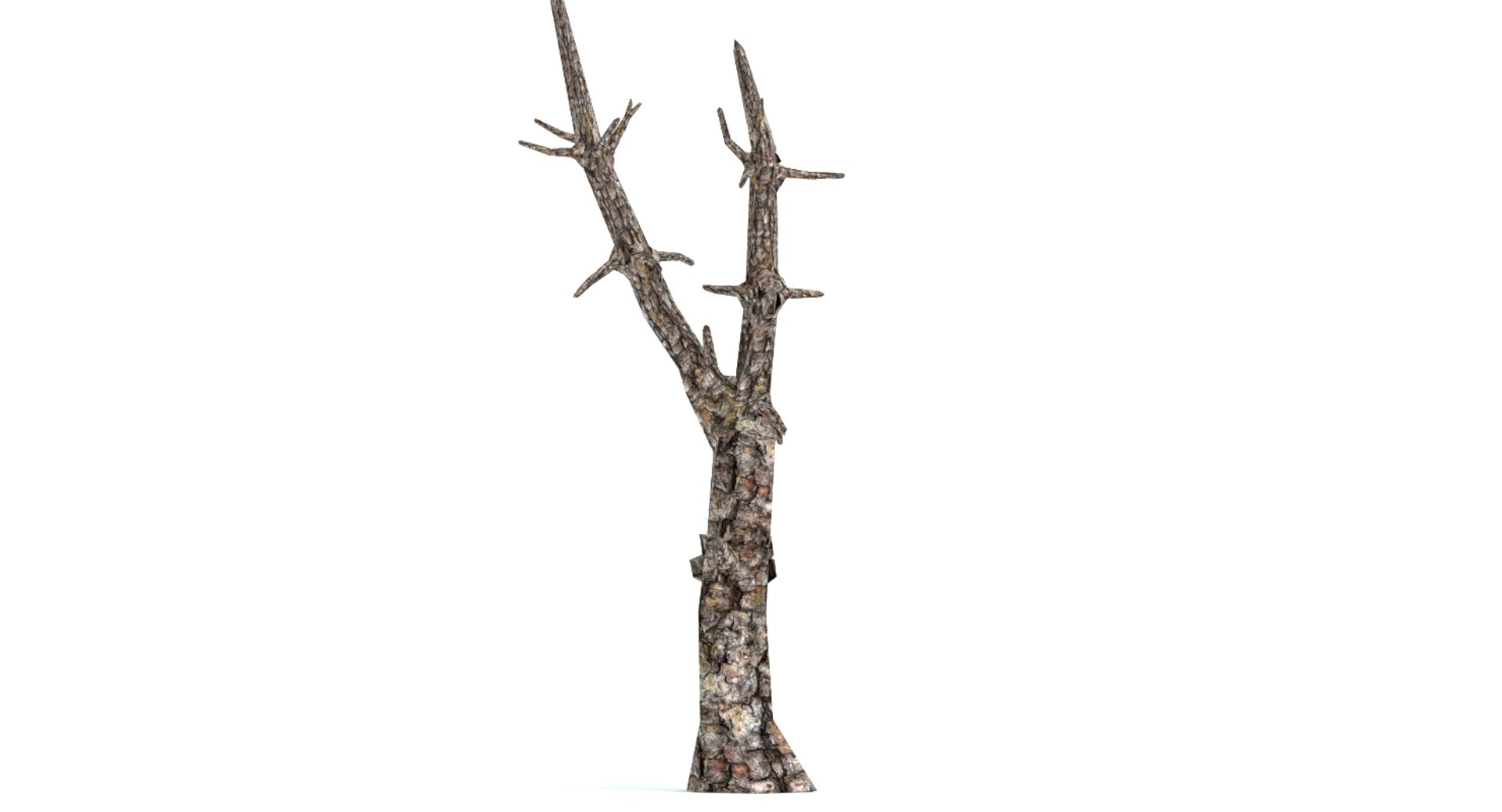 Dead Pine Tree 3d Obj