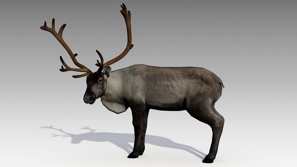 reindeer animations 3d max