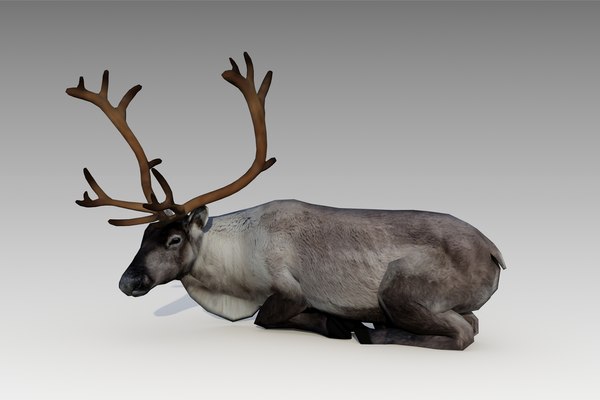 reindeer animations 3d max