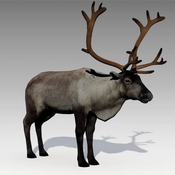 Free 3D Reindeer Models | TurboSquid