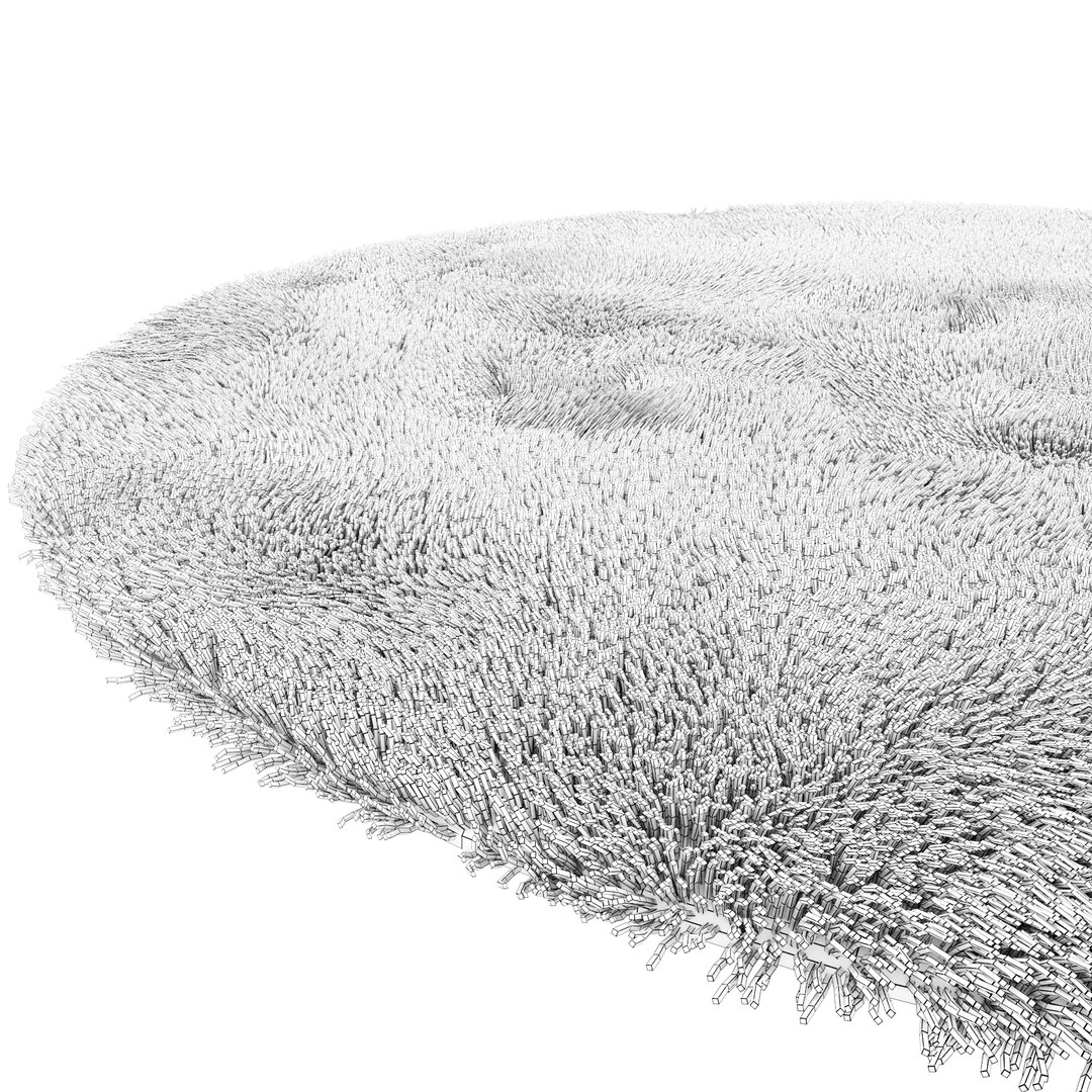 Round Fluffy Rug 3D Model - TurboSquid 1982056