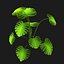 3D Stylized Bush Model - TurboSquid 1621117