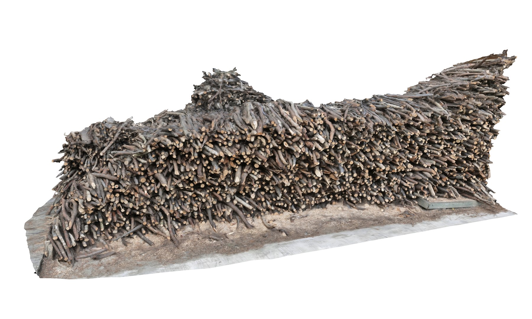 Logs Branches Scan Model - TurboSquid 1743590