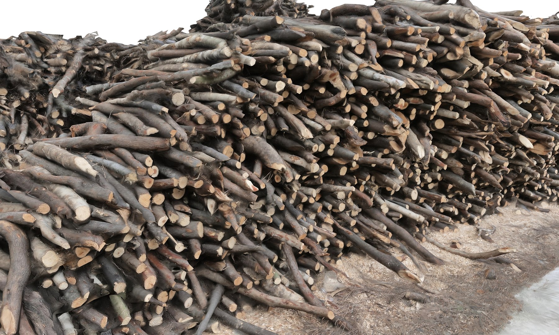 Logs Branches Scan Model - TurboSquid 1743590