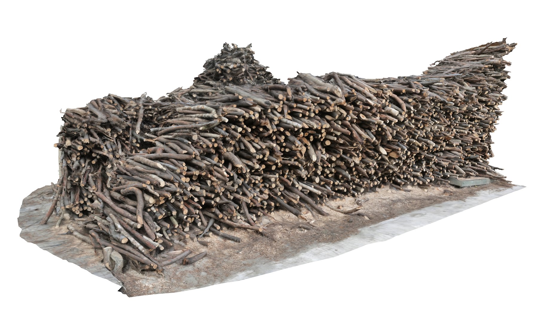 Logs Branches Scan Model - TurboSquid 1743590