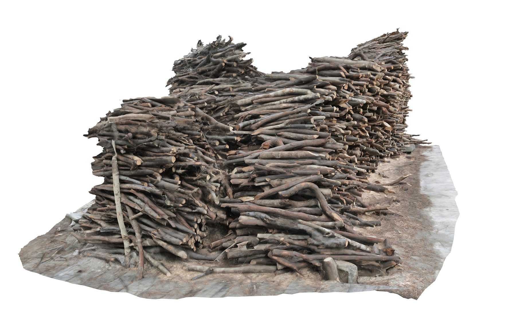 Logs Branches Scan Model - TurboSquid 1743590