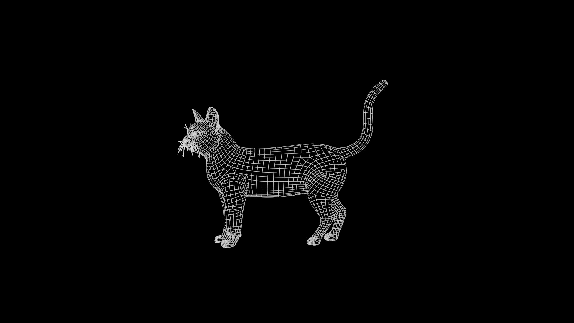 3D Cat Tabby Model - TurboSquid 1990435