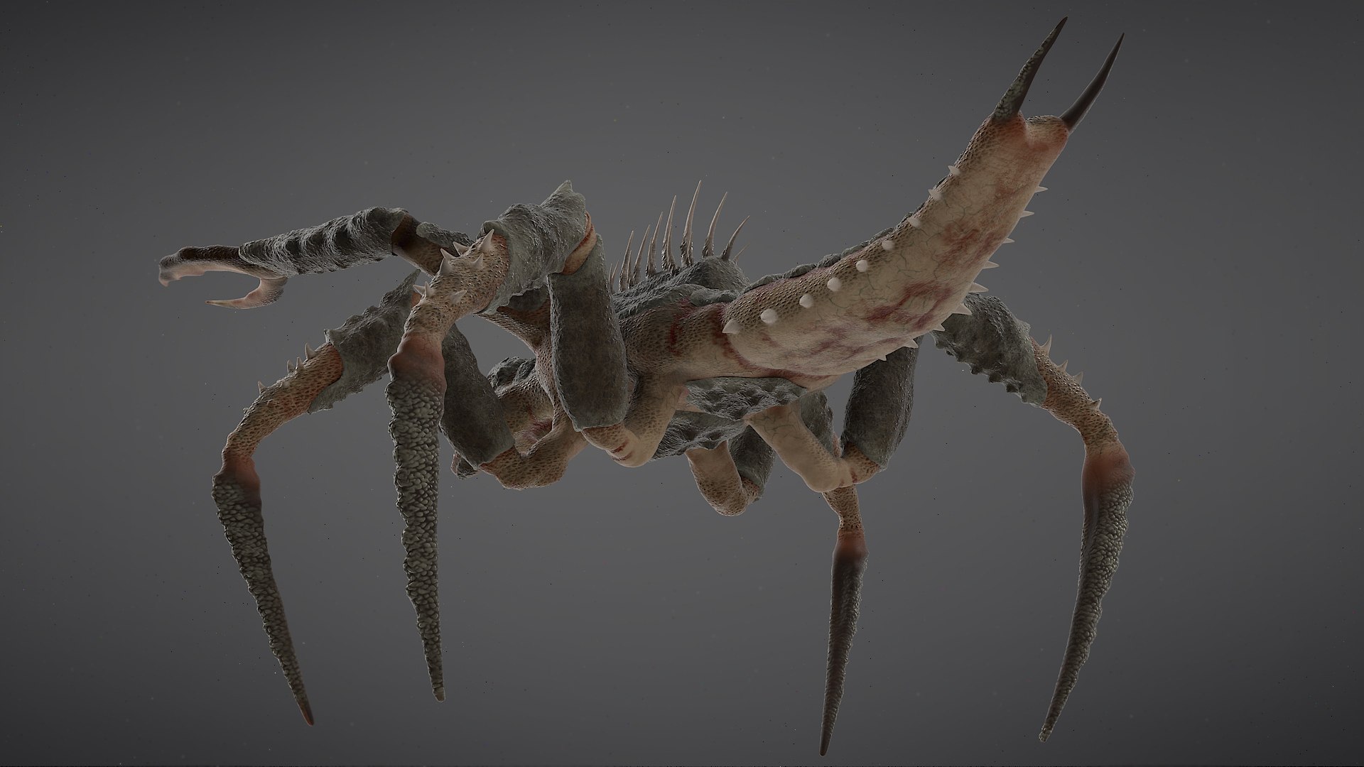 Arachnid Monster 3D Model - TurboSquid 1983244