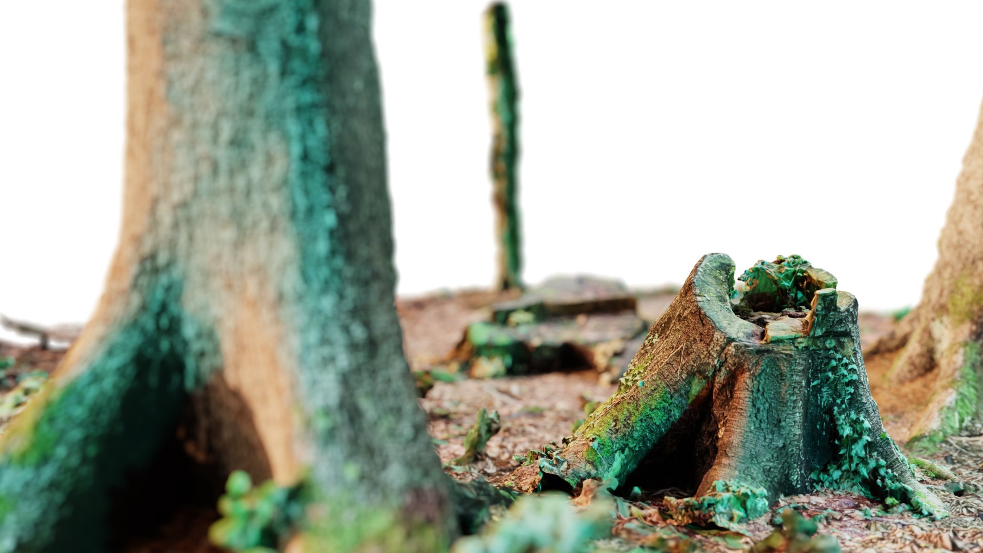 High Quality Forest Assets 3D Model - TurboSquid 1961107