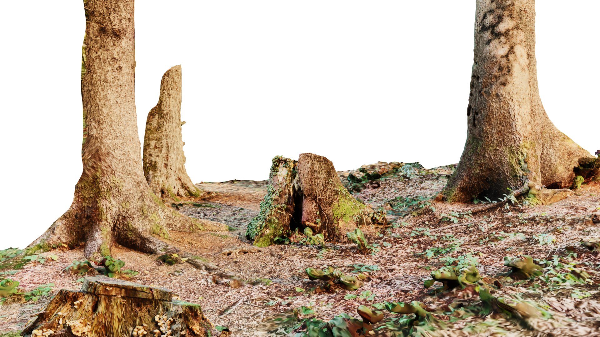 High Quality Forest Assets 3D Model - TurboSquid 1961107