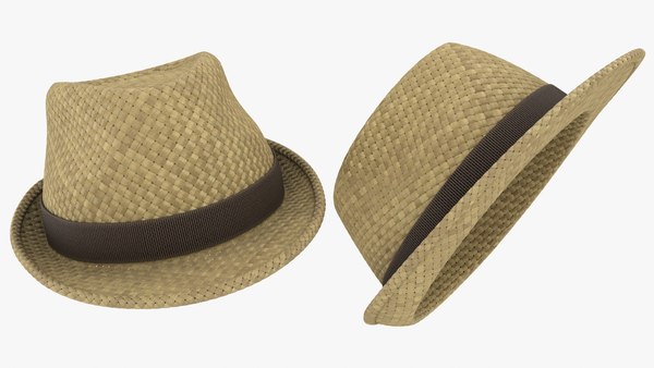 modelo 3d Trilby Straw Hat - TurboSquid 1920089