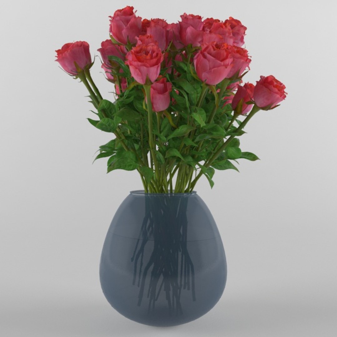 max vase roses