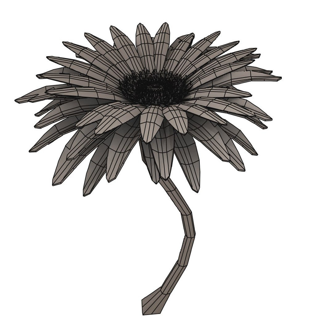 3d Gerbera Modeled Model