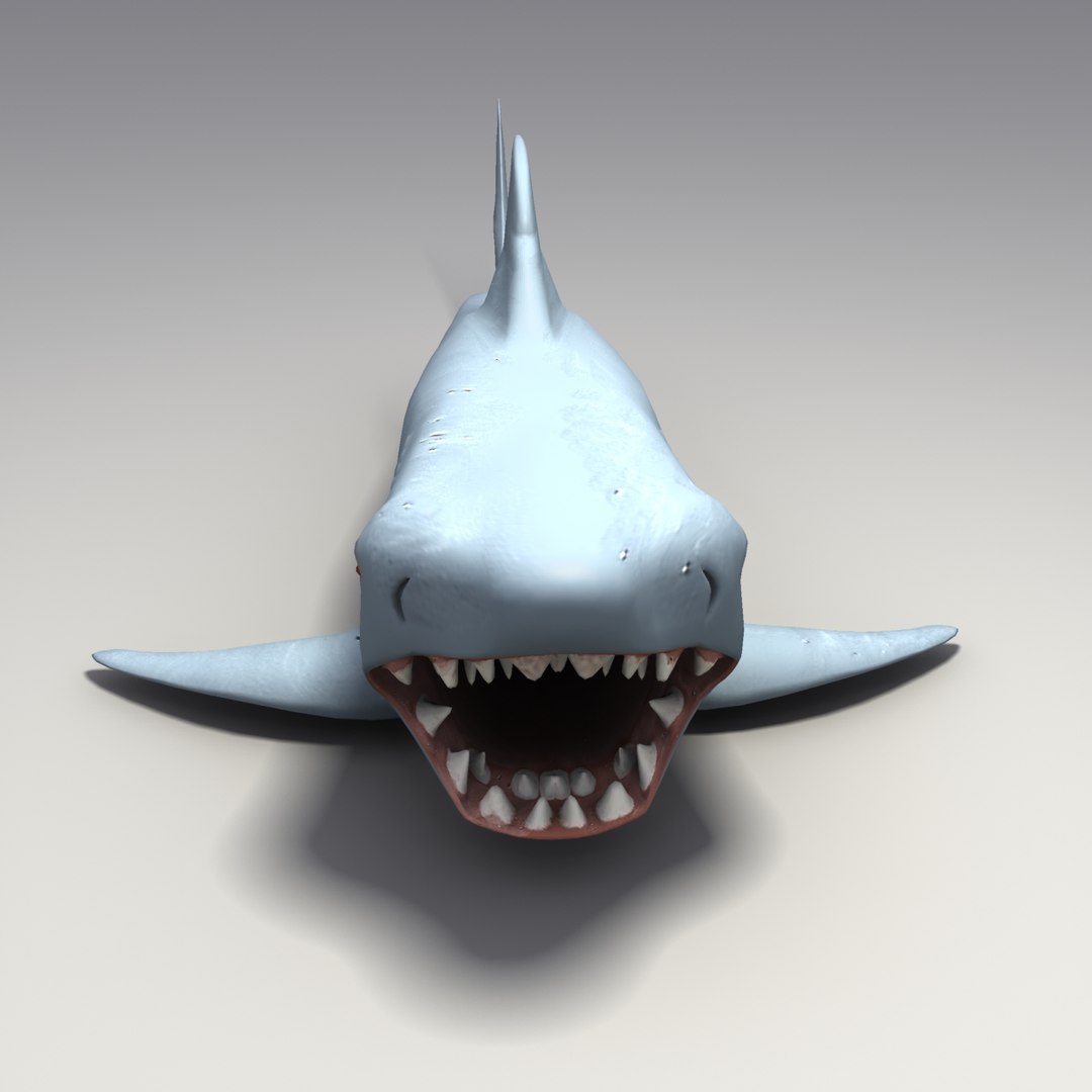 3d Model Toy Rubber Shark