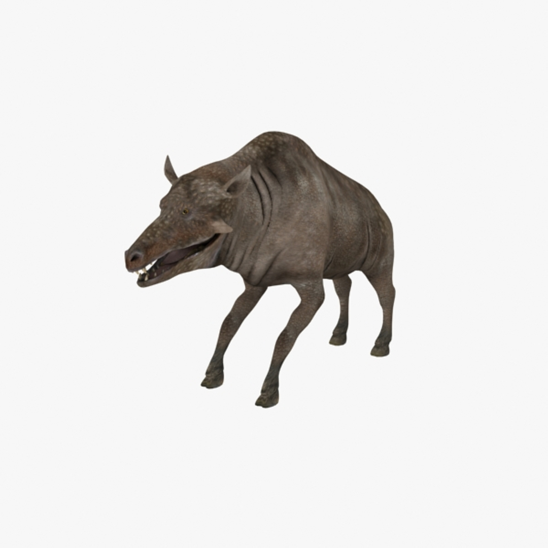 Entelodont Pigs 3d Model