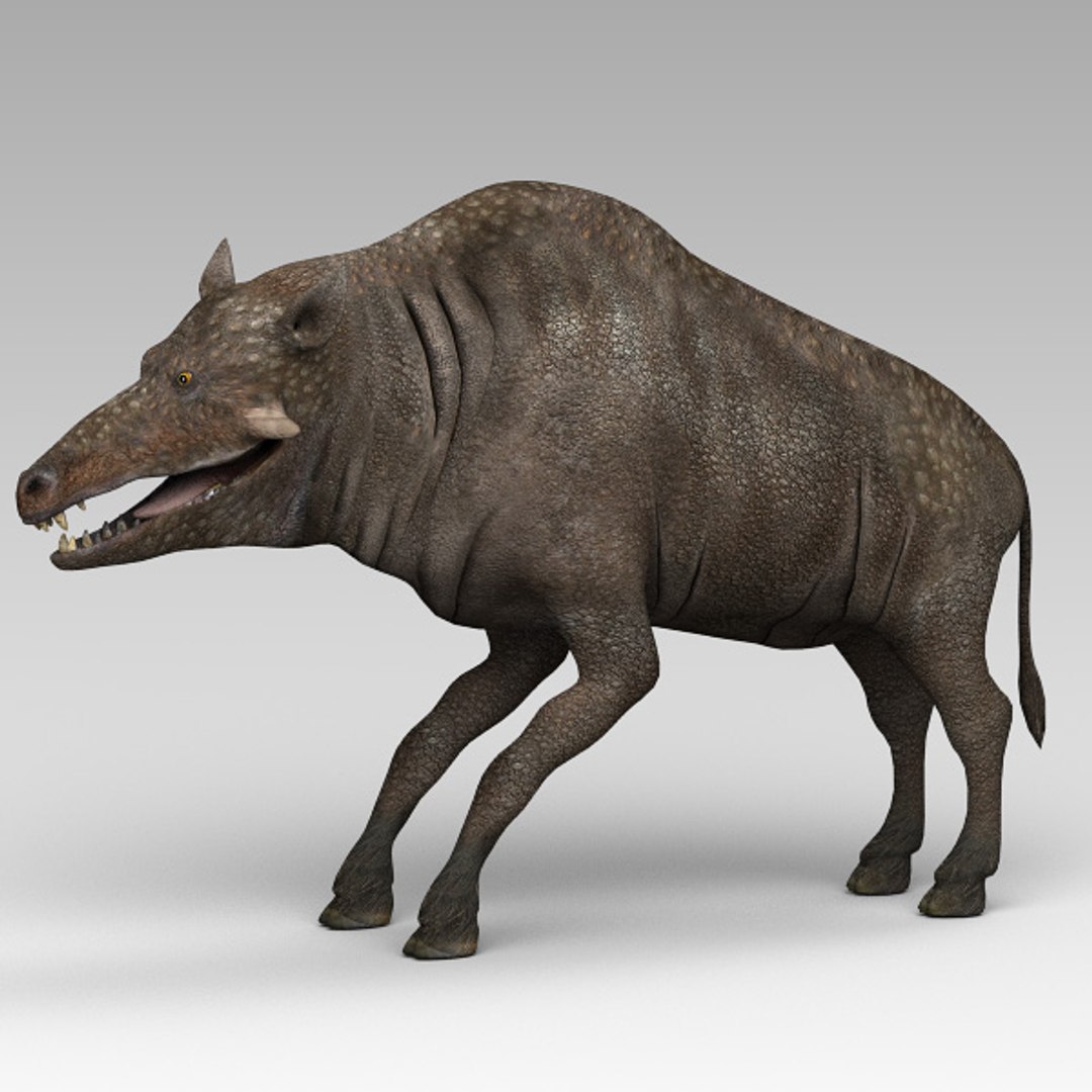 Entelodont Pigs 3d Model
